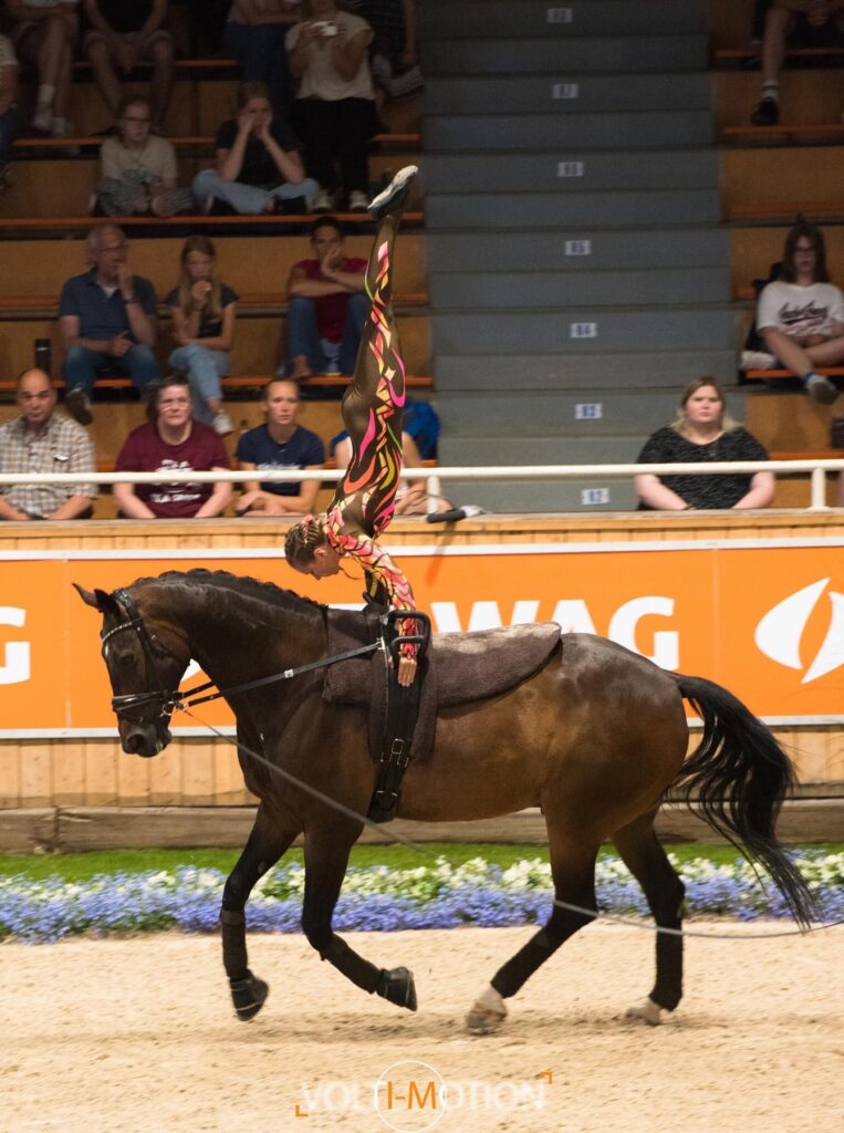 KNHS Voltigevereniging – Officiële website van de KNHS Voltigevereniging